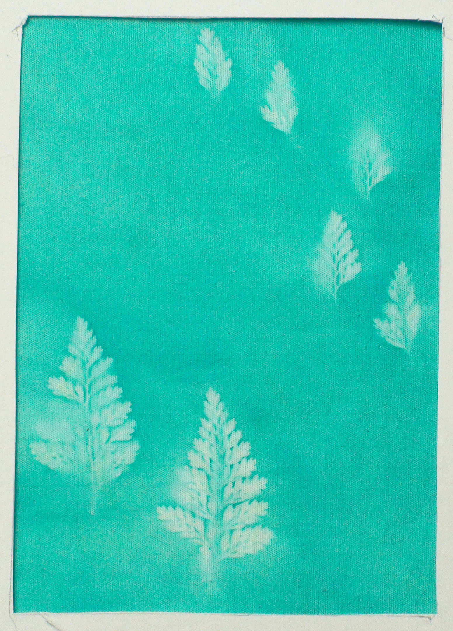 Fabric Play – Fiber Designs by Ann